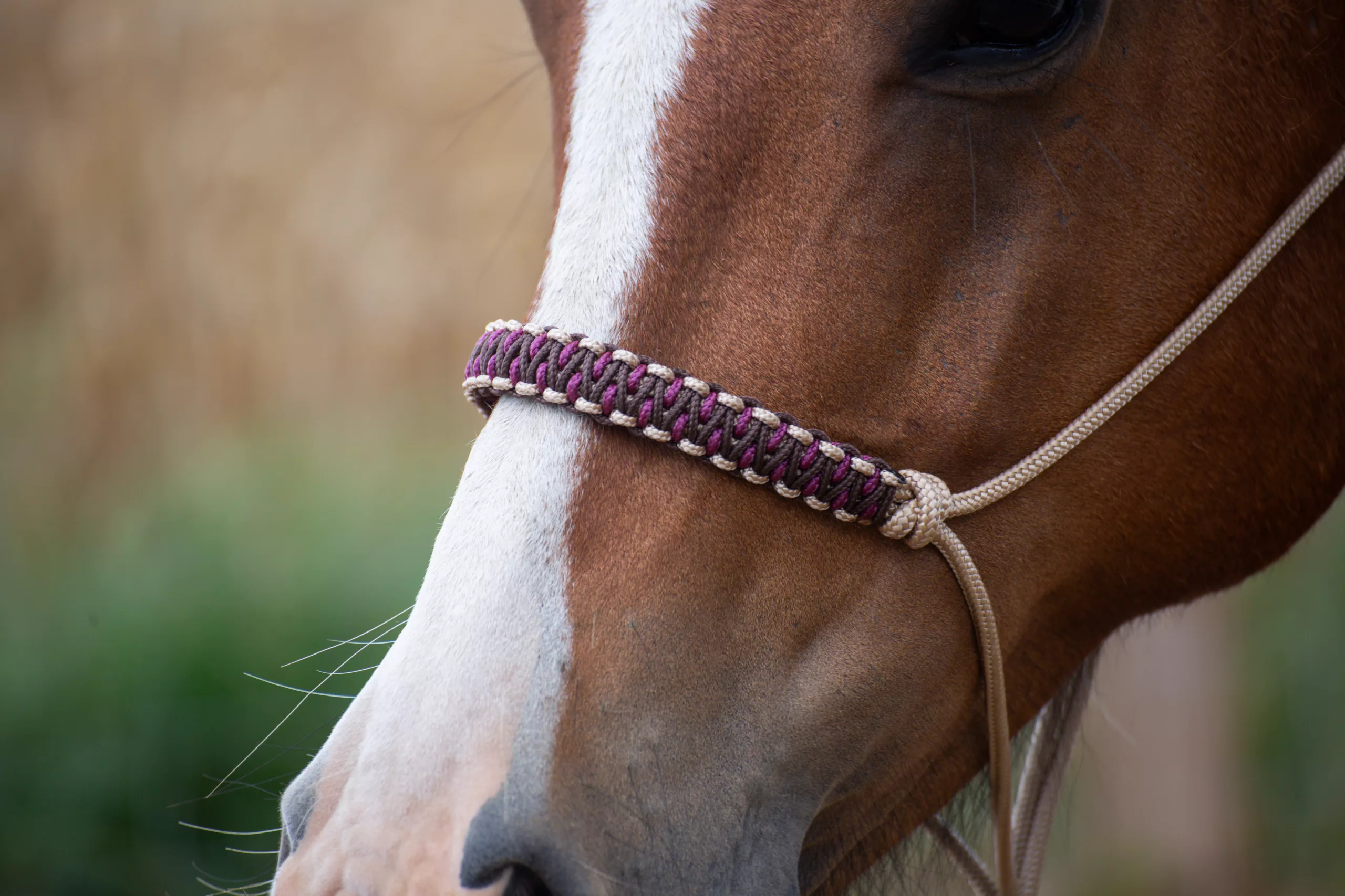 Licol éthologique en corde tressé Mély - Breizh Etho